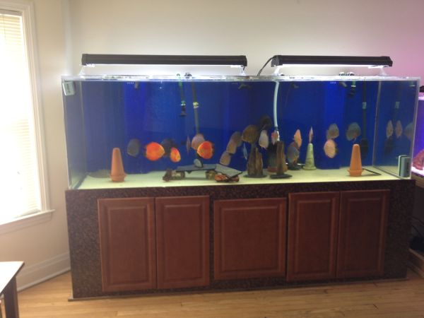 360 Gallon Aquarium Acrylic sell or TRADE for 600 gallon tank – $4000 ...