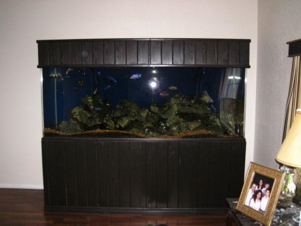 Huge Custom 450 gallon Acyrlic Tank – $2500 (Spring Hill) – giant aquariums