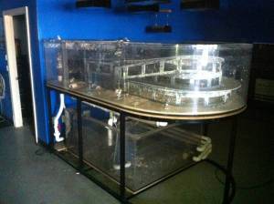 600g bullnose custom acrylic aquarium system – $5000 (East valley,AZ ...