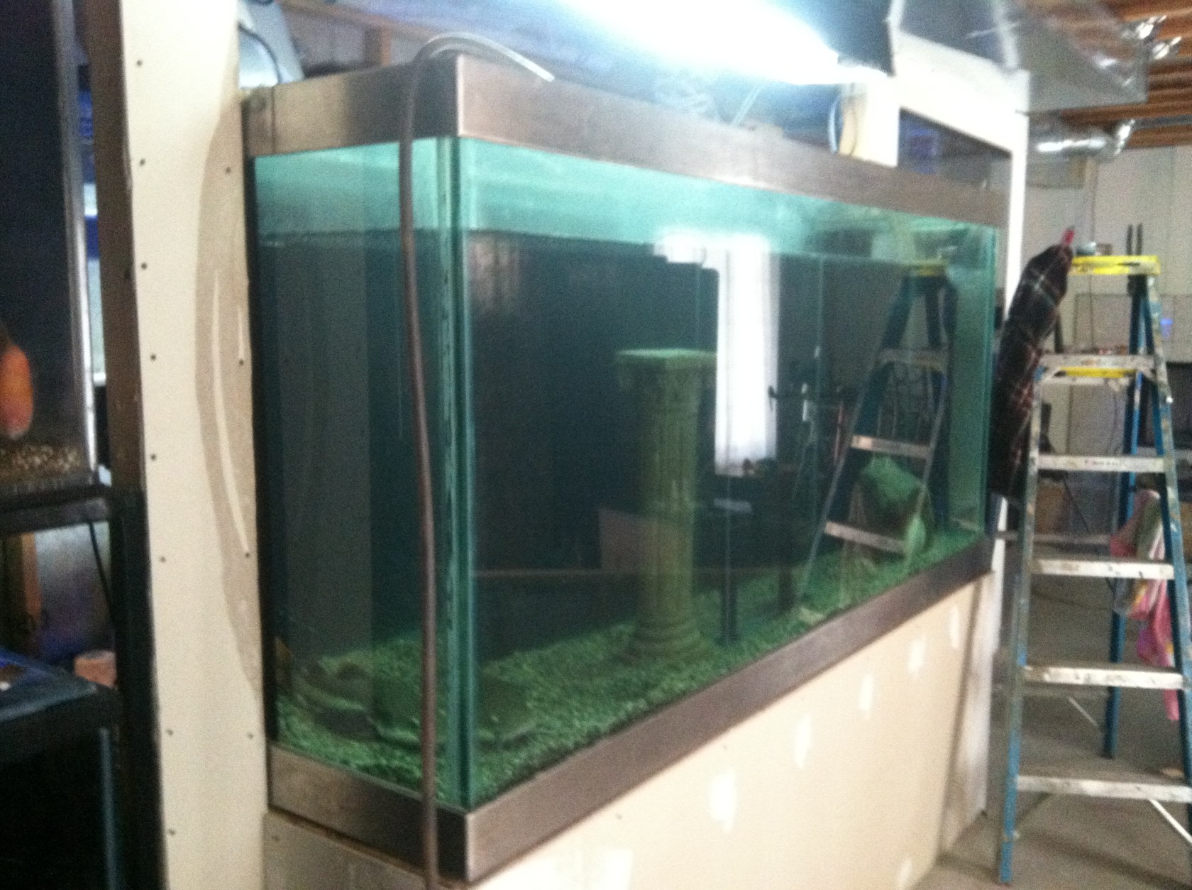 photo (14) – giant aquariums