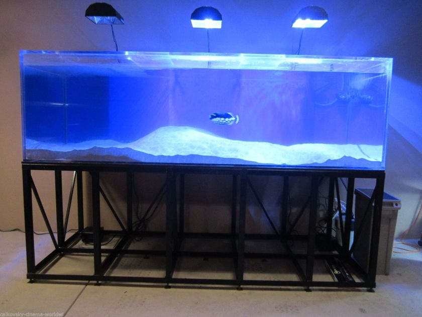 900 GALLON ‘TENECOR’ MONSTER AQUARIUM REEF FISH TANK SALT WATER US ...
