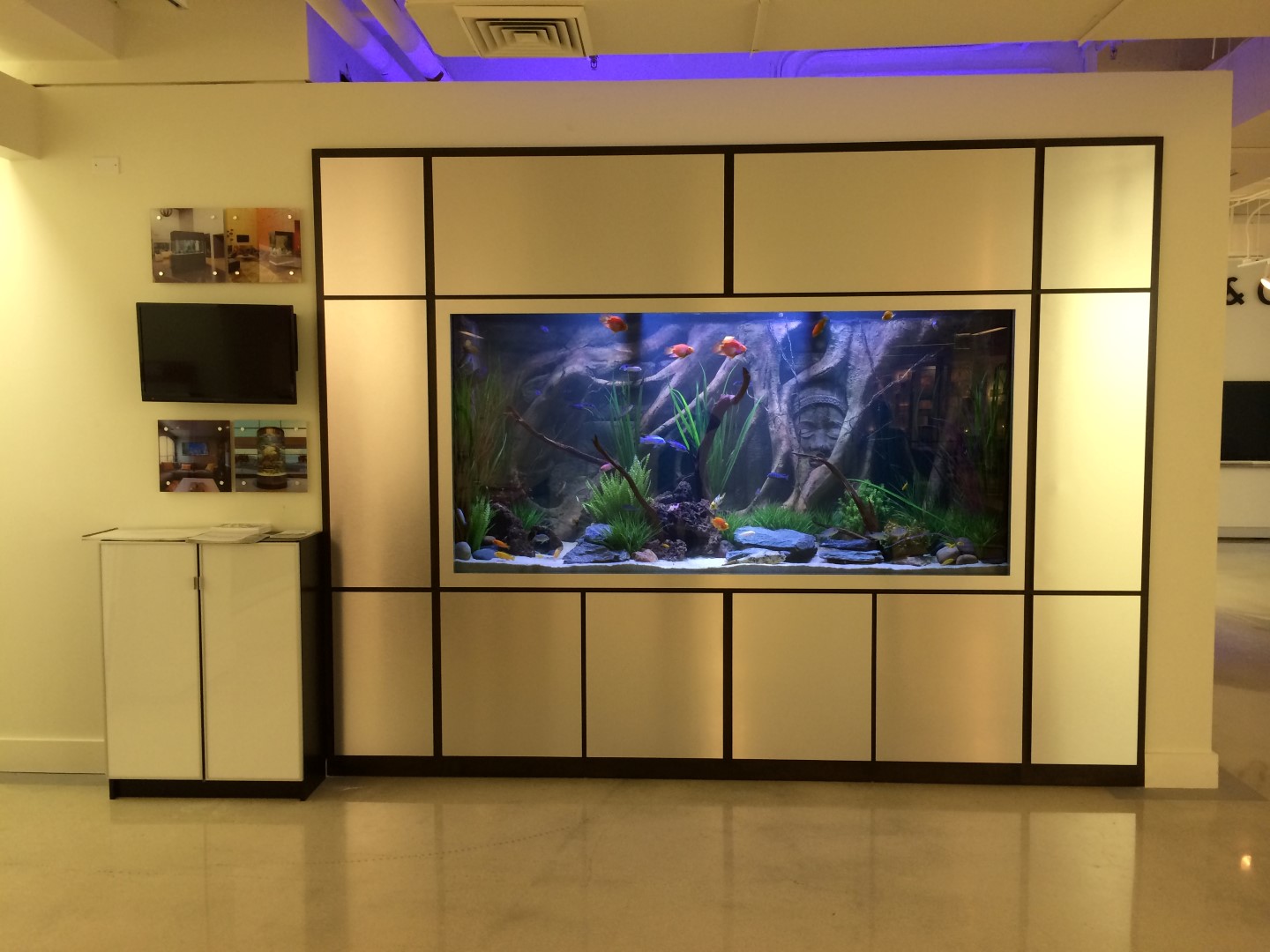 800 gallons approx (Texas) – giant aquariums