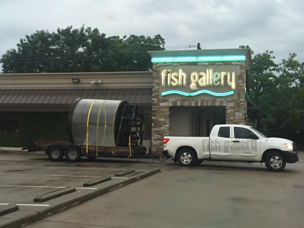 Fish Gallery got two Cylinder with Bridge tanks! Texas Sold! – giant ...