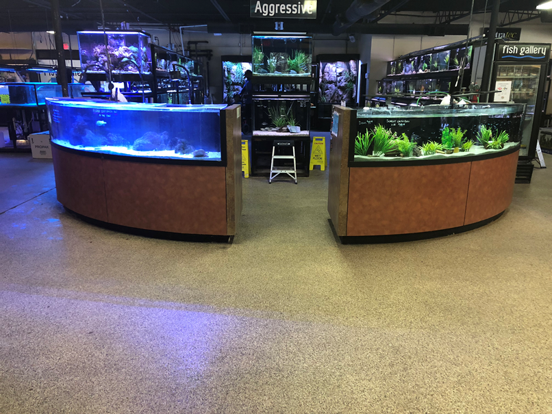 Custom “Banana” Shaped Aquarium/work stations, at The Fish Gallery ...