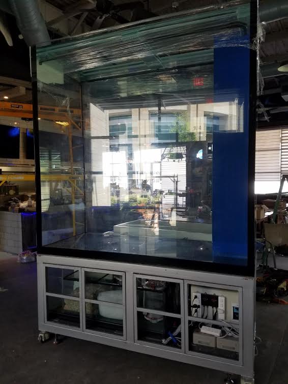 Texas Hold’em Tank, 1100 Gallons! (Houston, Tx) The Fish Gallery ...