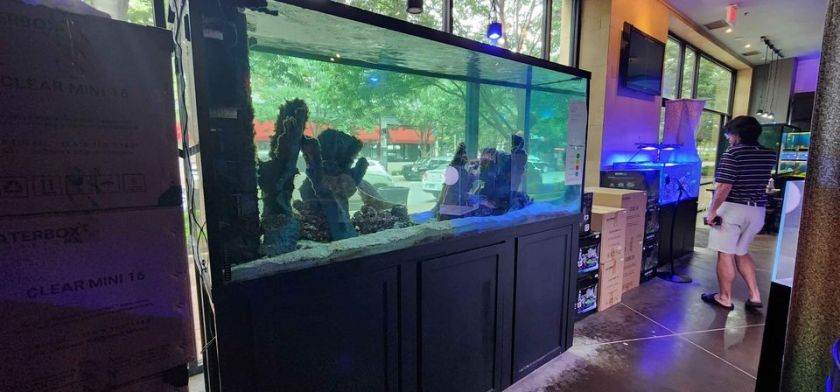 giant aquariums